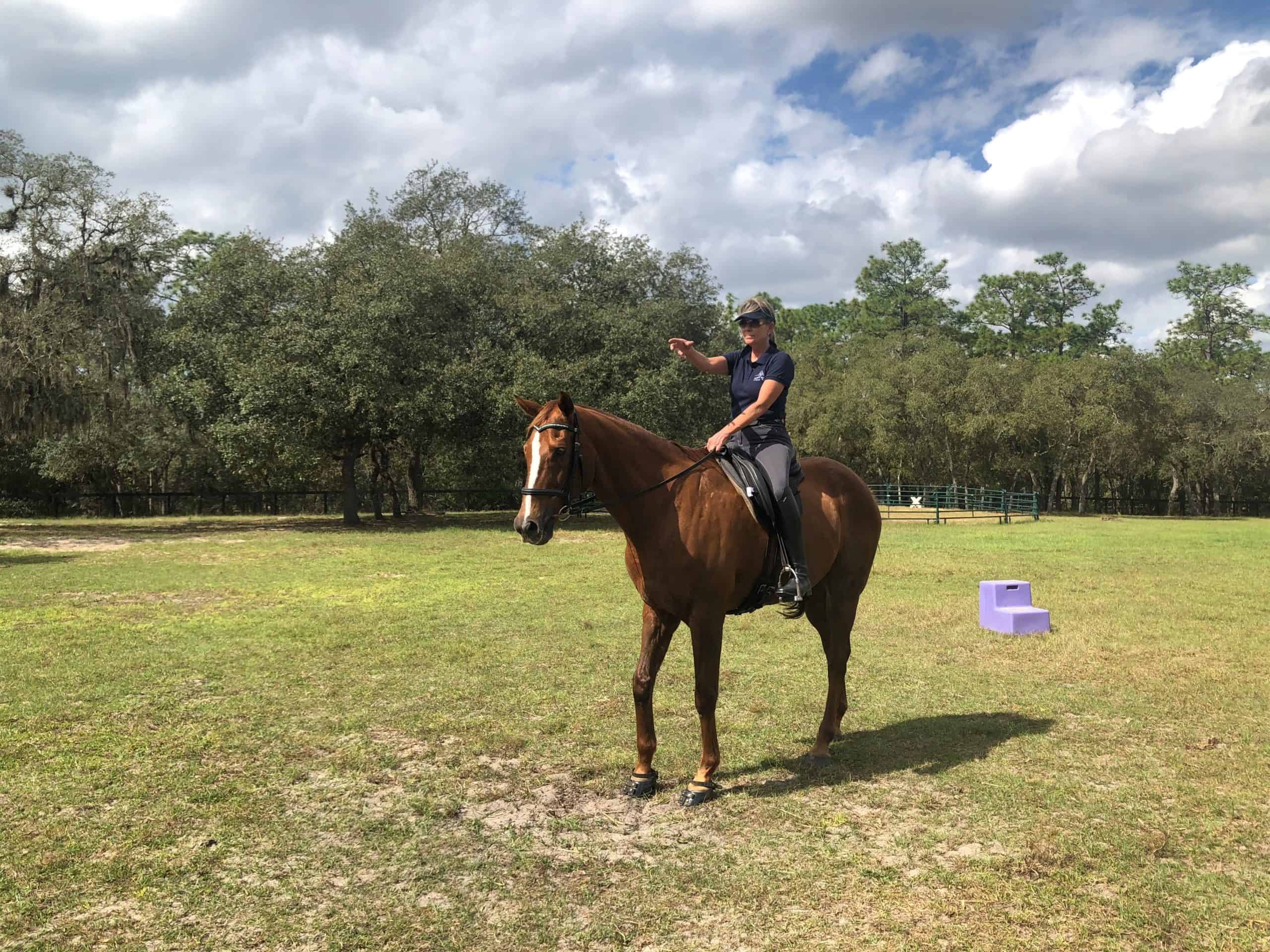 Happy Horse Masterclass With Linda Parelli | February 19 - 24, 2021