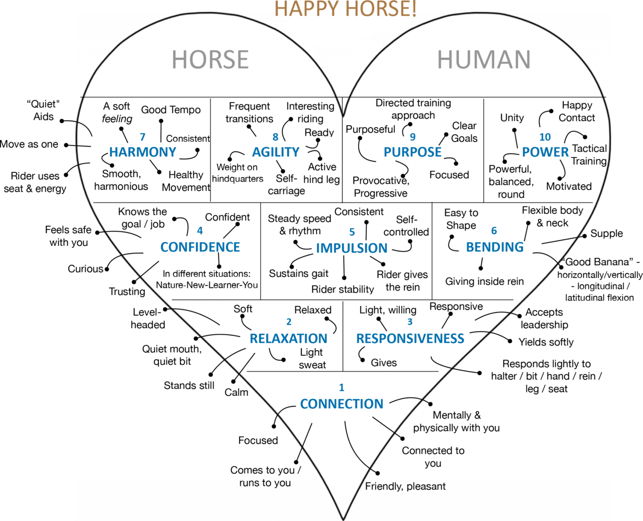 Happy Horse Curriculum - Happy Horse Happy Life