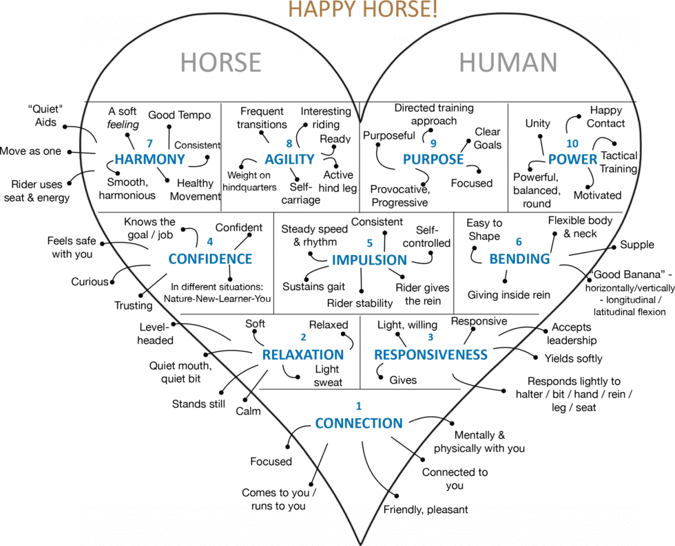 Happy Horse Curriculum - Happy Horse Happy Life