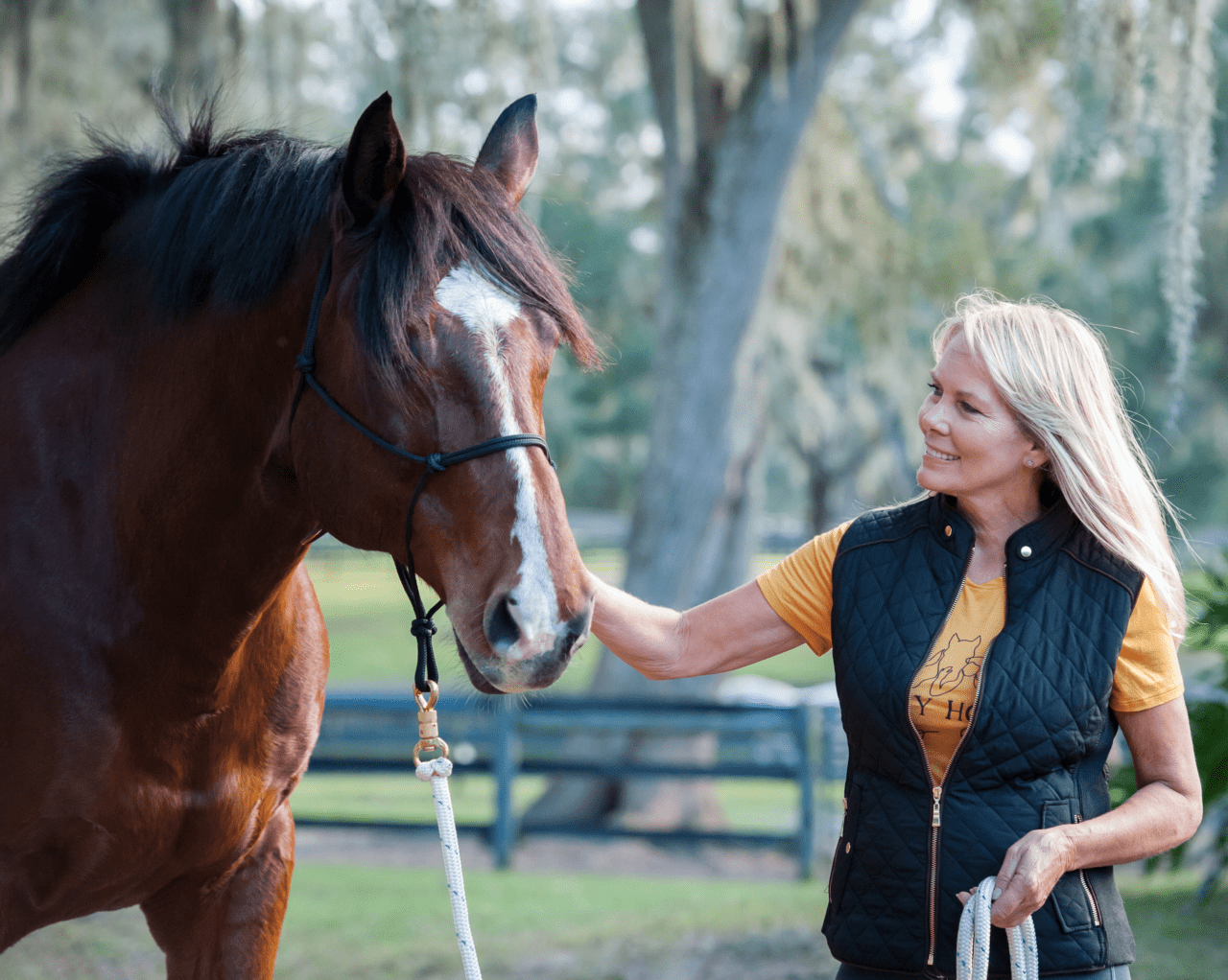 Happy Horse Curriculum - Happy Horse Happy Life