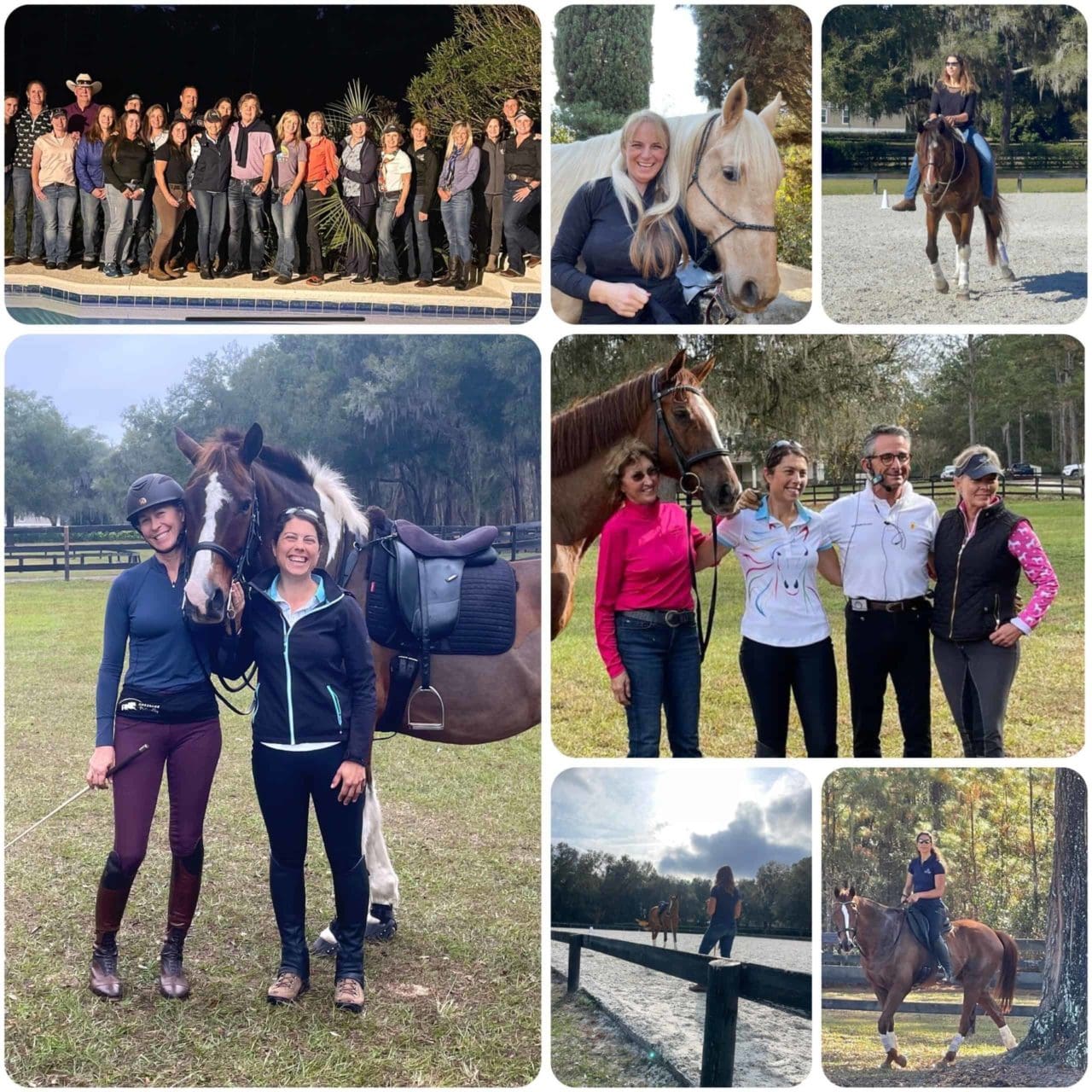 Instructor Program | Happy Horse Happy Life